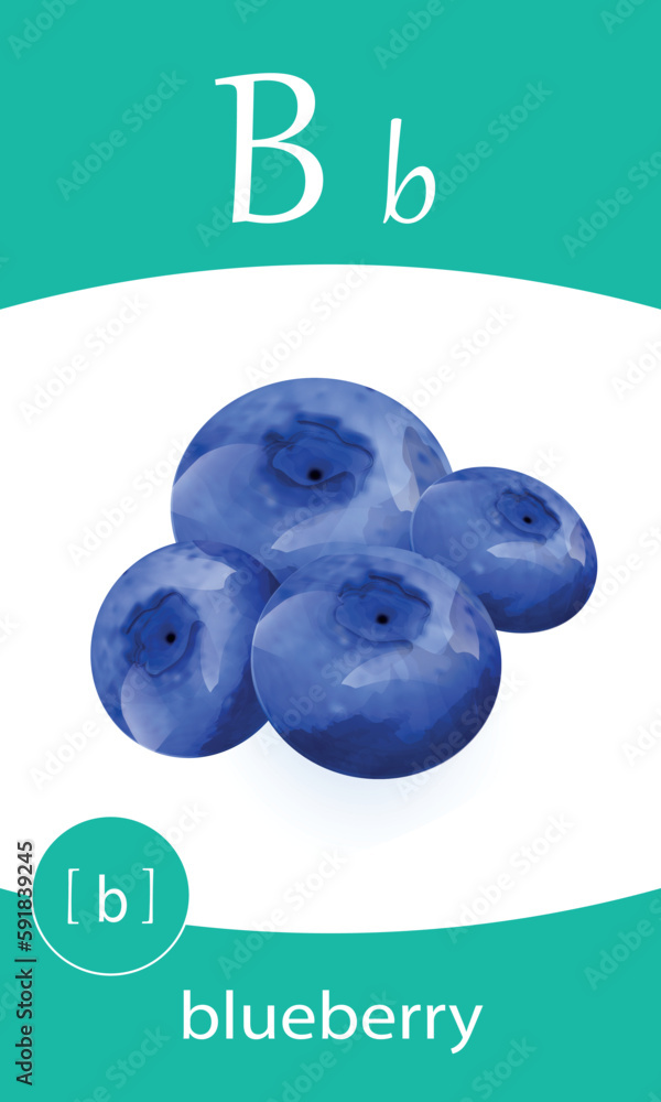 English alphabet flash card. Letter B study - blueberry. Kids ABC cards ...