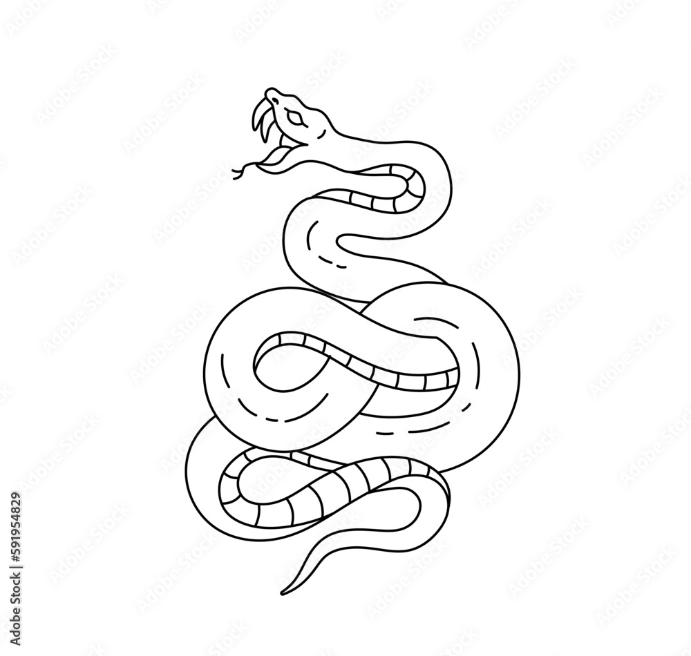 Vector isolated one single snake with open mouth and fangs colorless ...