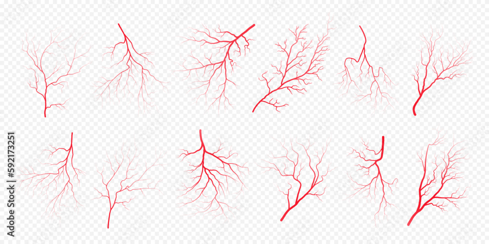 Human eye blood veins vessels silhouettes vector illustration set ...