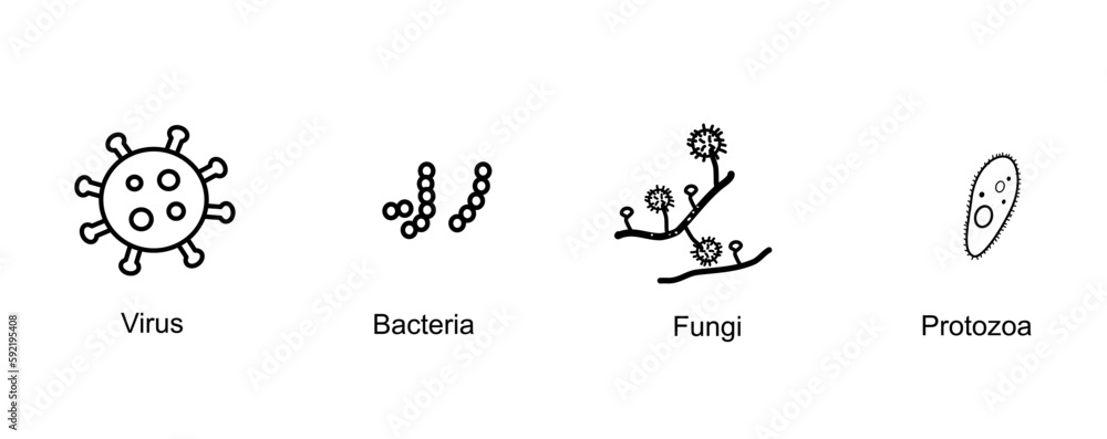 The classification of microorganism that Picture shows 4 types of Virus ...