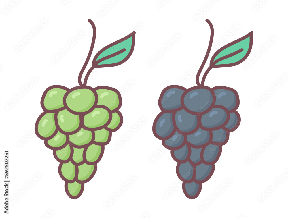 Grapes doodle sketch illustration. Vector hand drawn outline fruit ...