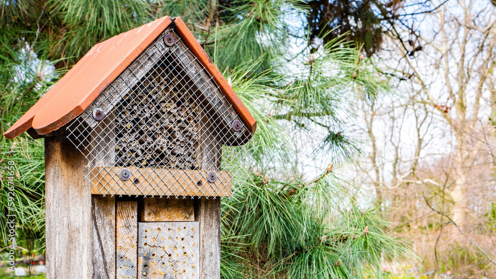 House for insects that protect the garden from pests. Biological pest ...