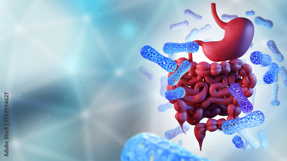 Microbiota in body. Gastrointestinal tract. Microbiota for immunity ...