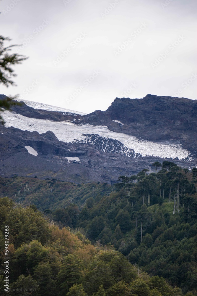 Parque Nacional Conguillío, 9na región de chile Stock Photo | Adobe Stock