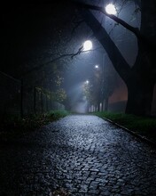 Spooky Street Light Free Stock Photo - Public Domain Pictures