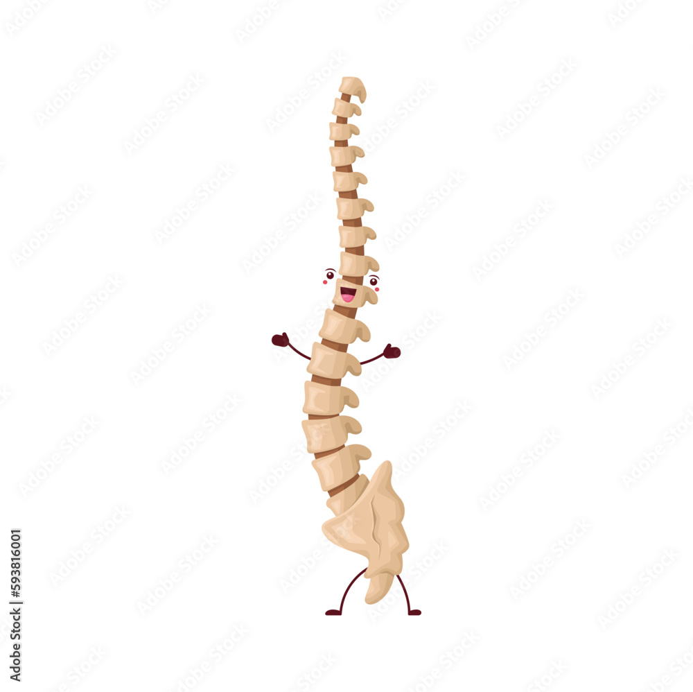 Cartoon spine character, healthy human vertebra funny vector funny ...