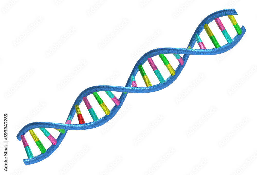 Dna Structure isolated. Png transparency Stock Illustration | Adobe Stock
