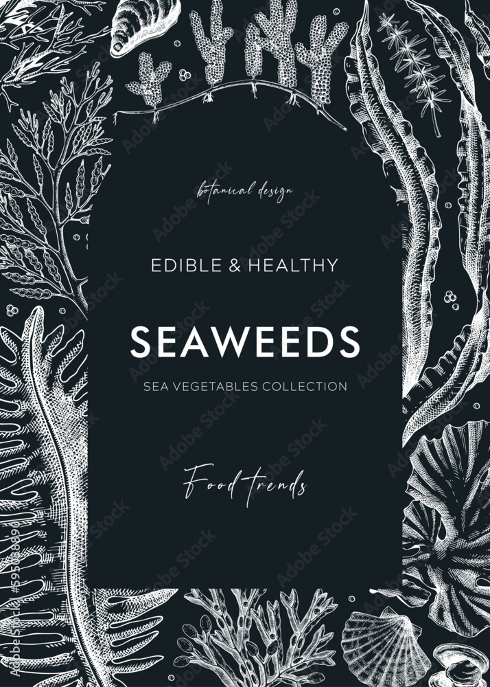Edible seaweeds frame design on chalkboard. Hand drawn sea algae in ...