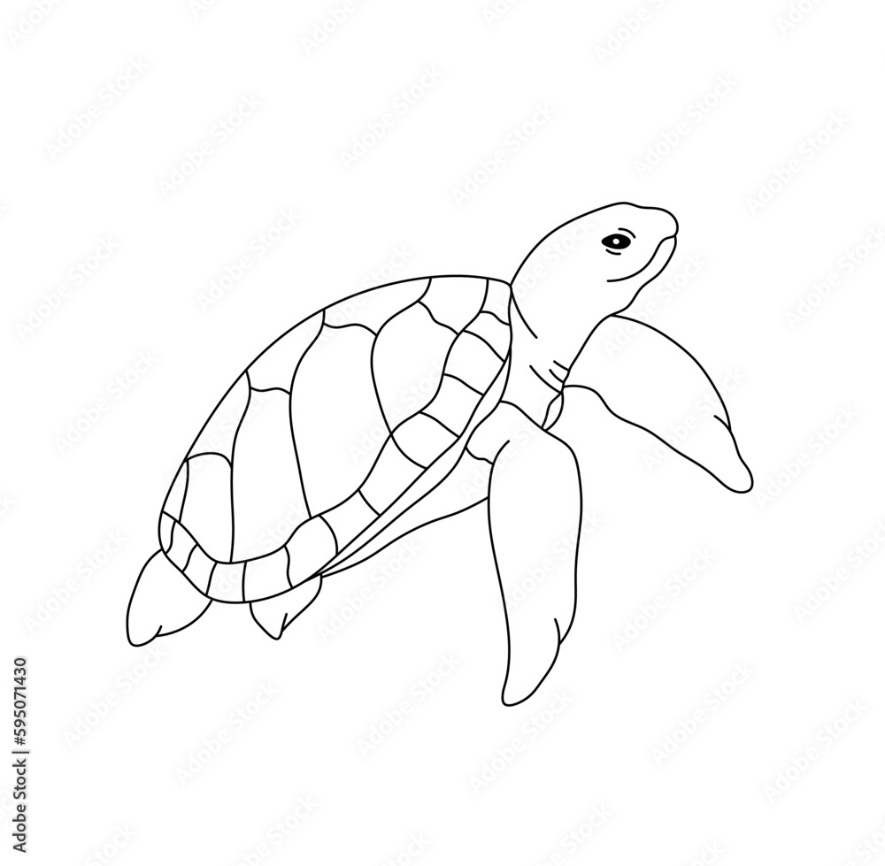 Vector isolated one single swimming sea turtle underwater colorless ...