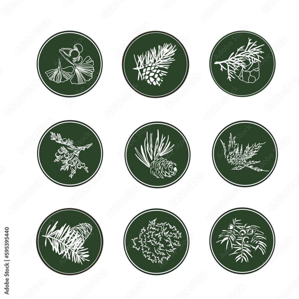 Set of nine vector logos of coniferous trees. Line drawings with chalk ...