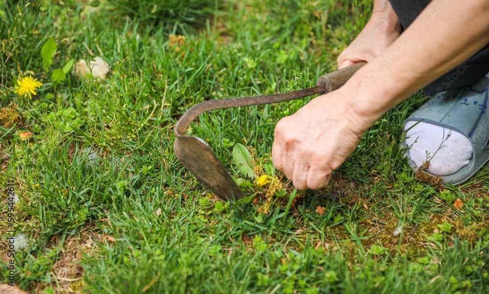 Foto Gardening tools like trowels, spades, and shovels are essential ...