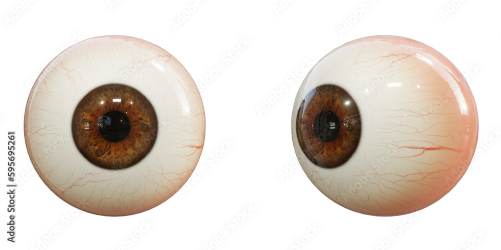 Human eyeball isolated on transparent background. 3D rendering Stock ...