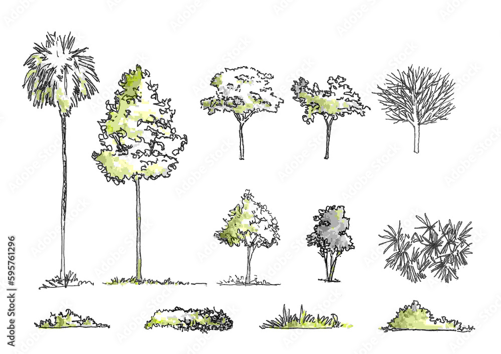 watercolor tree shrub grass side view isolated on white background for ...