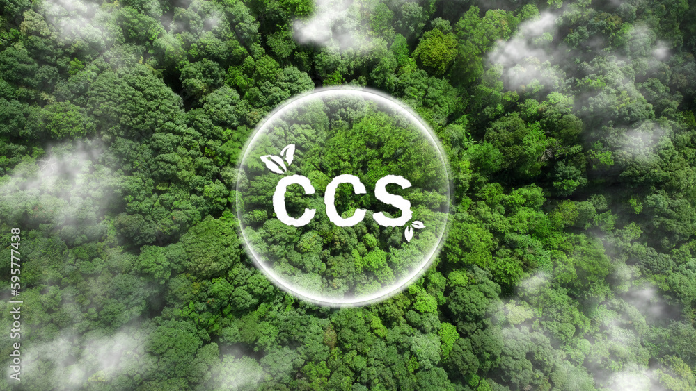 Ccs Acronym For Carbon Capture Storage Words Ccs In Bubbles With A Forest Background Net Zero
