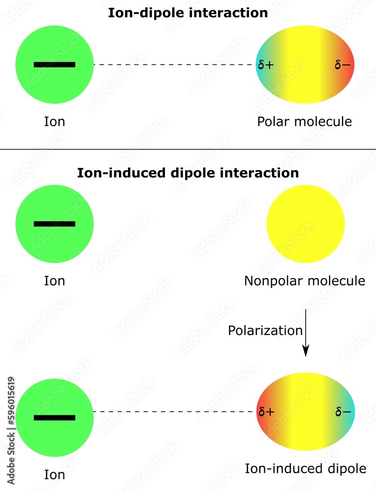 intermolecular forces ion dipole interaction ion induced nonpolar ...