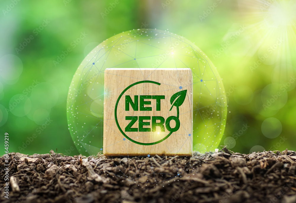 Net zero target and carbon neutral. Green business concept. Climate ...