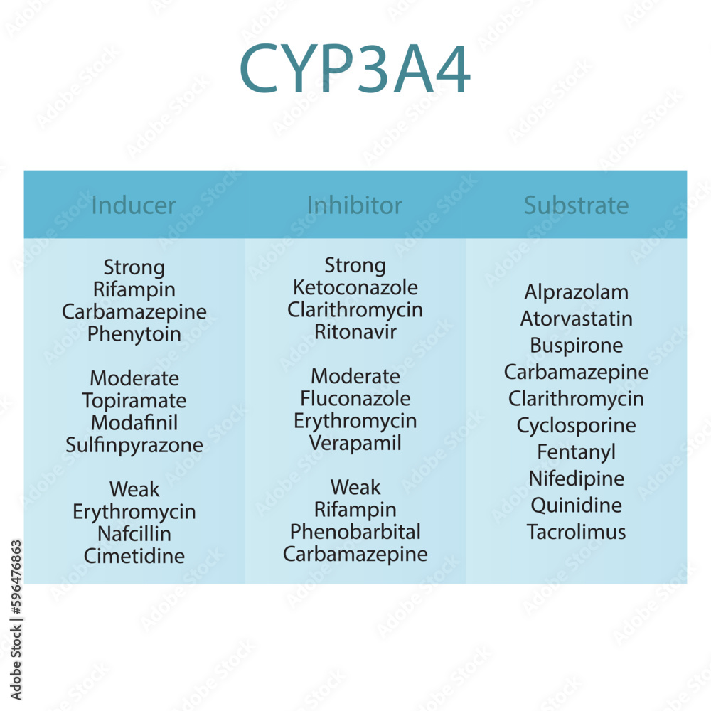 Cytochrome CYP3A4 table of strong, moderate and weak inhibitors ...