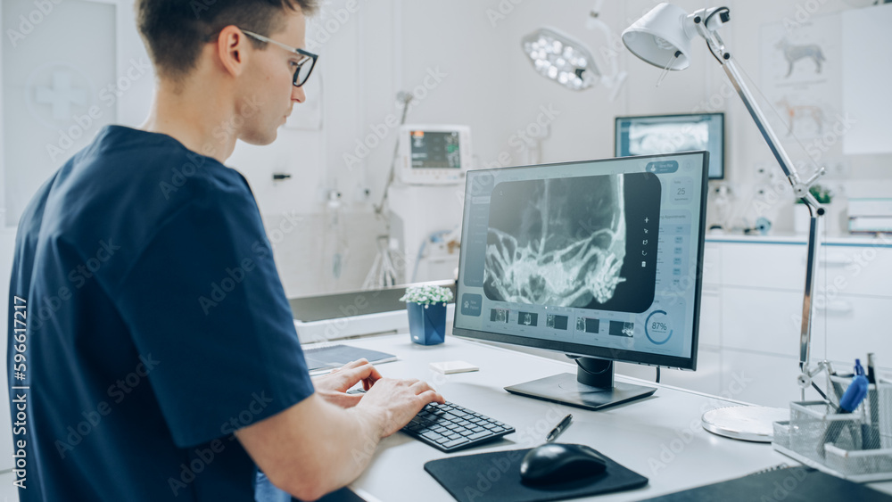 Veterinary Clinic Specialist Working on a Desktop Computer, Using a ...