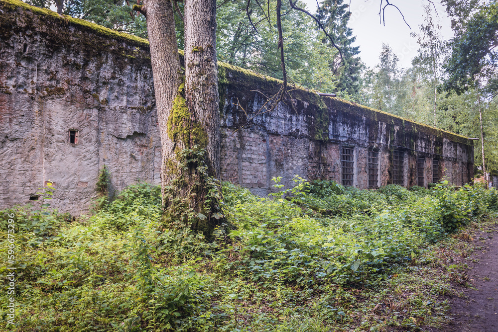 Photo Stock Ruins of Hitlers bunker in so called Wolf Lair, Nazi ...