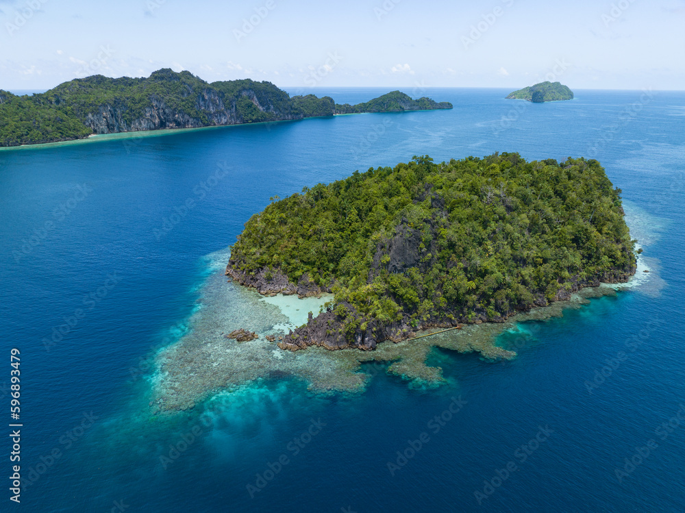 Foto Beautiful coral reefs surround the dramatic limestone islands that ...