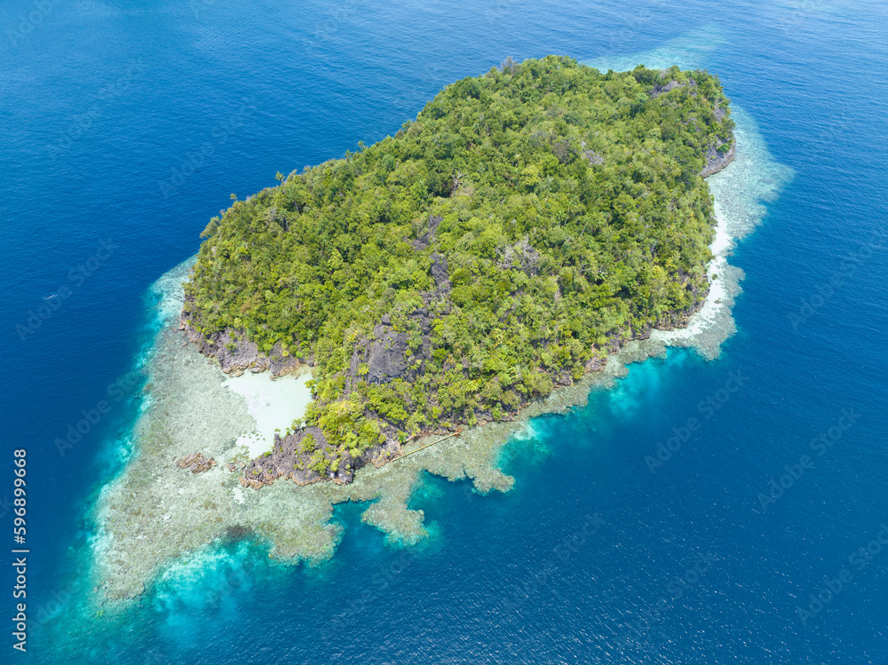 Beautiful coral reefs surround the dramatic limestone islands that rise ...