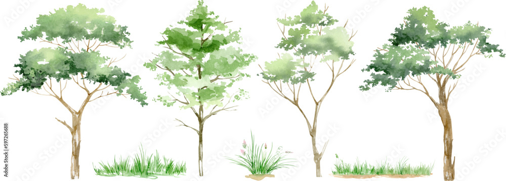 Vector watercolor tree side view isolated on white background, Forest ...