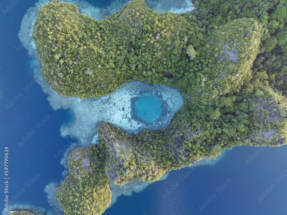 Healthy coral reefs grow around the dramatic limestone islands that ...