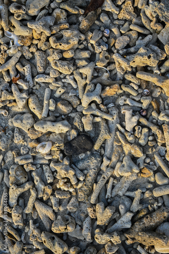 KRL Commuter Line is an electric rail-based commuter rapid transit ...