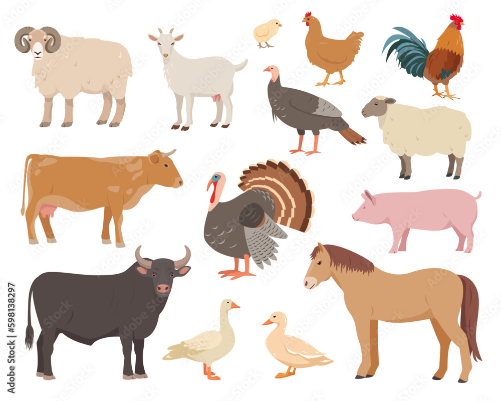 Set of farm animals and birds in different poses. Cow, bull, sheep, pig ...