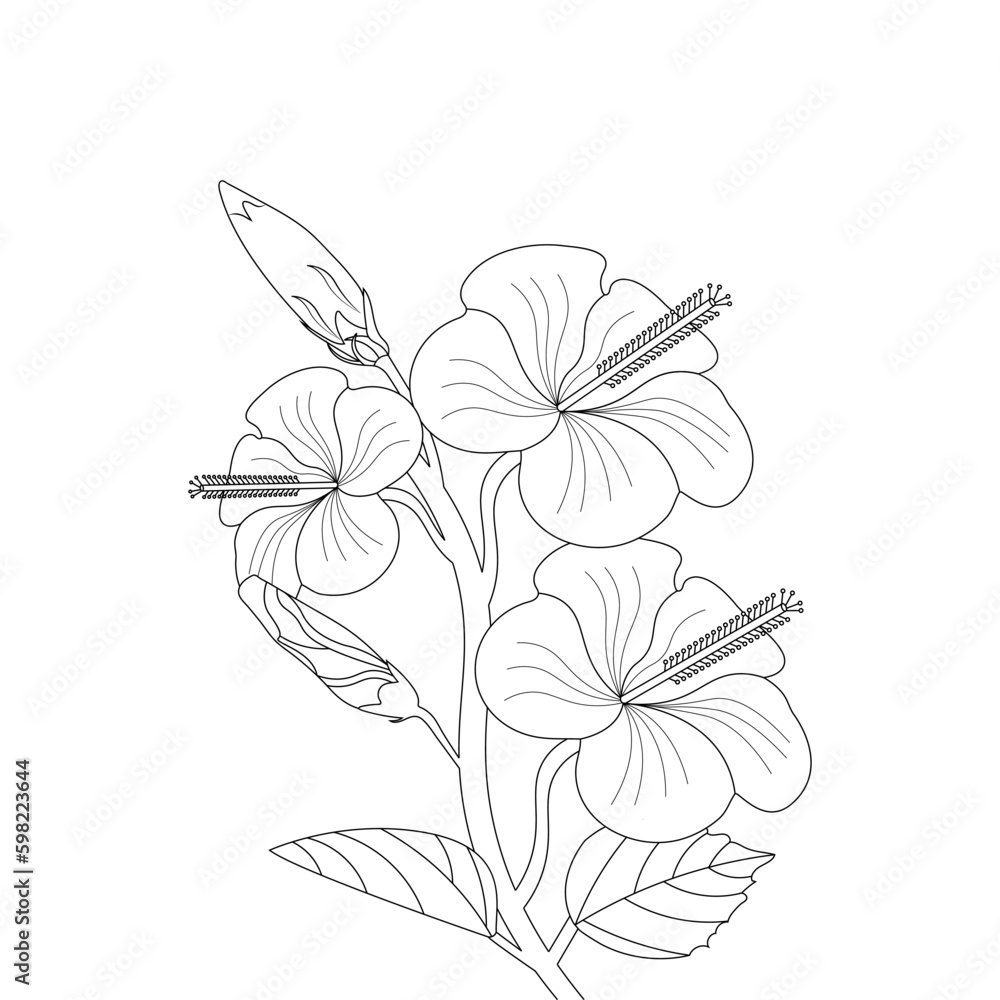 เวกเตอร์ Stock Hibiscus Flower Drawing Coloring Page With Doodle Art ...