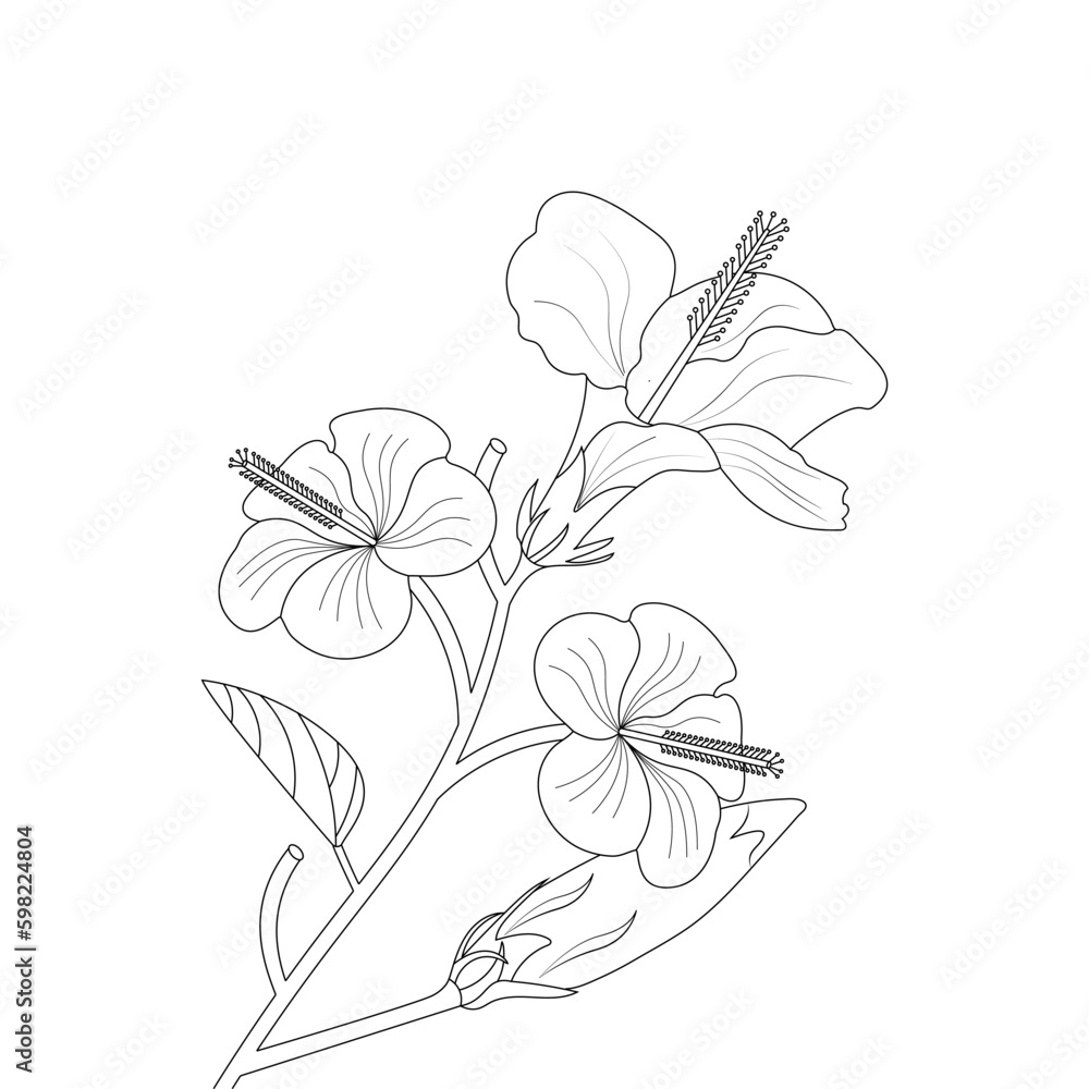 Hibiscus Flower Drawing Coloring Page With Doodle Art Line Art Vector ...