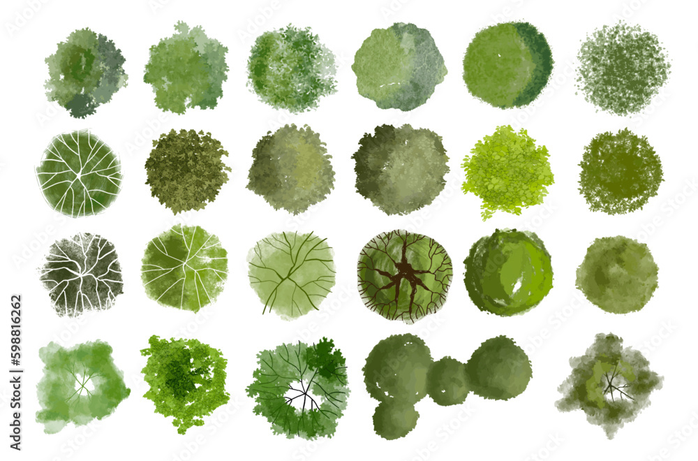 Vector tree top watercolor hand drawn view isolated on white background ...