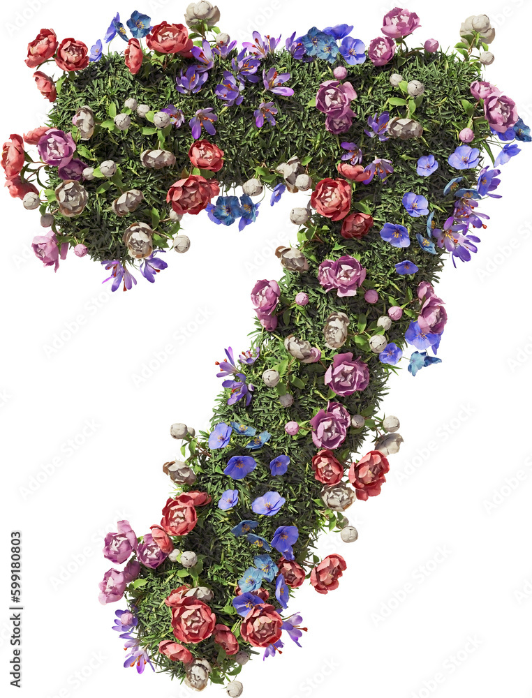 Flower Number 7, Seven. Garden floral and plants font Isolated on ...