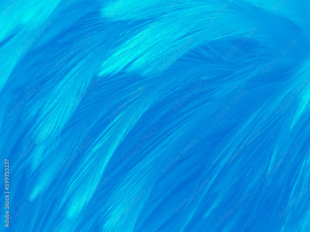 Beautiful abstract blue feathers on white background, white feather ...