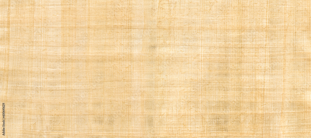 Old papyrus background texture. Banner wallpaper Stock Photo | Adobe Stock
