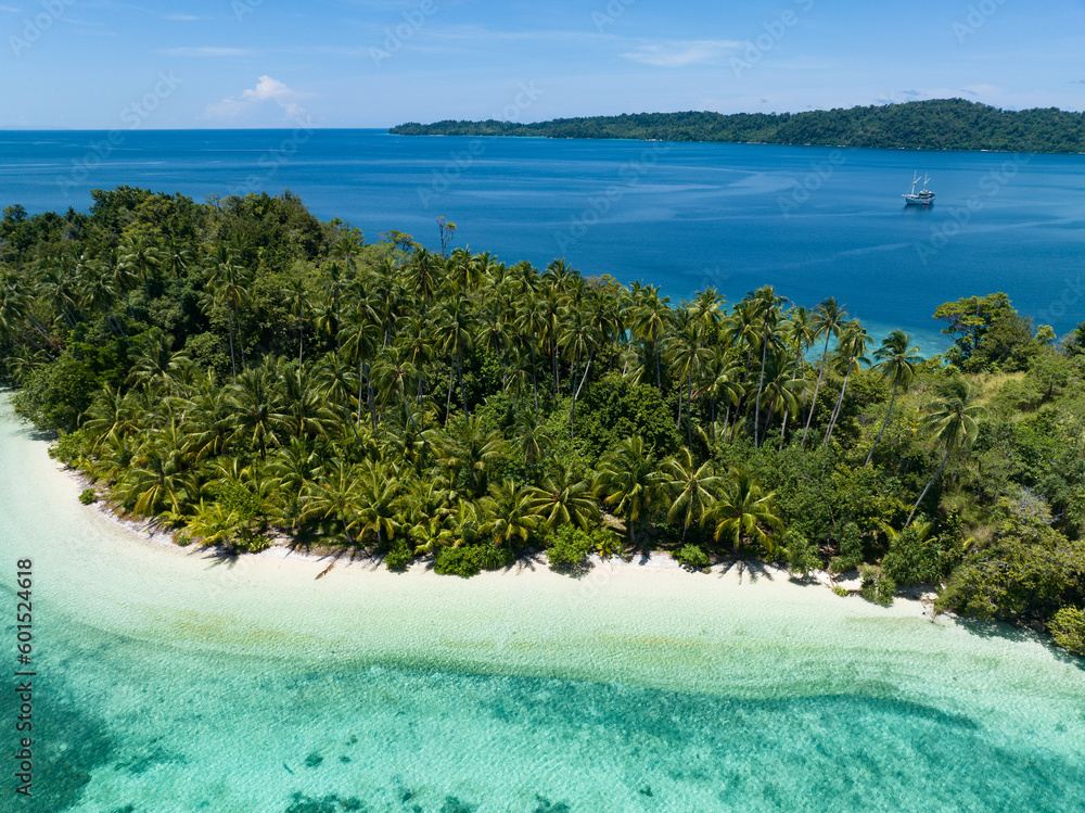 Palm trees grow along a scenic beach off the coast of West Papua ...