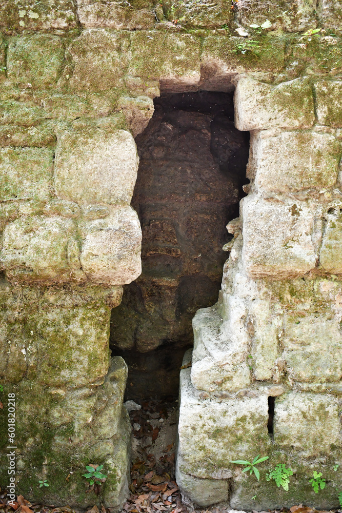 Interior de una pirámide Maya. Estructura antigua en el Parque Nacional ...