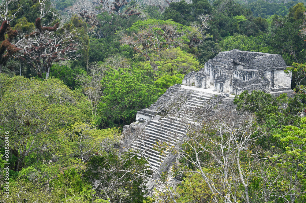Pirámide del Mundo Perdido. Parque Nacional de Tikal, Peten. Templo ...