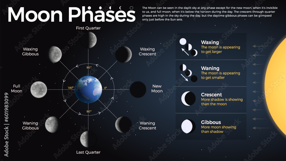 The Ultimate Guide to Understanding Moon Phases and Lunar Cycles ...