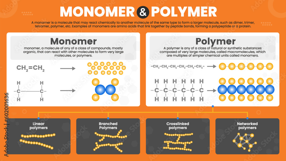 Monomers And Polymers With Complex Molecules Structure Formula And Organic Synthesis And