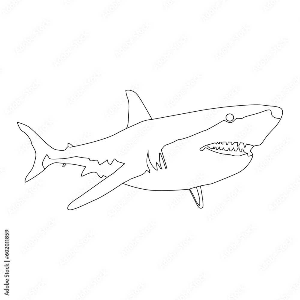 Vector de Stock Shark Line art vector Illustration | Adobe Stock