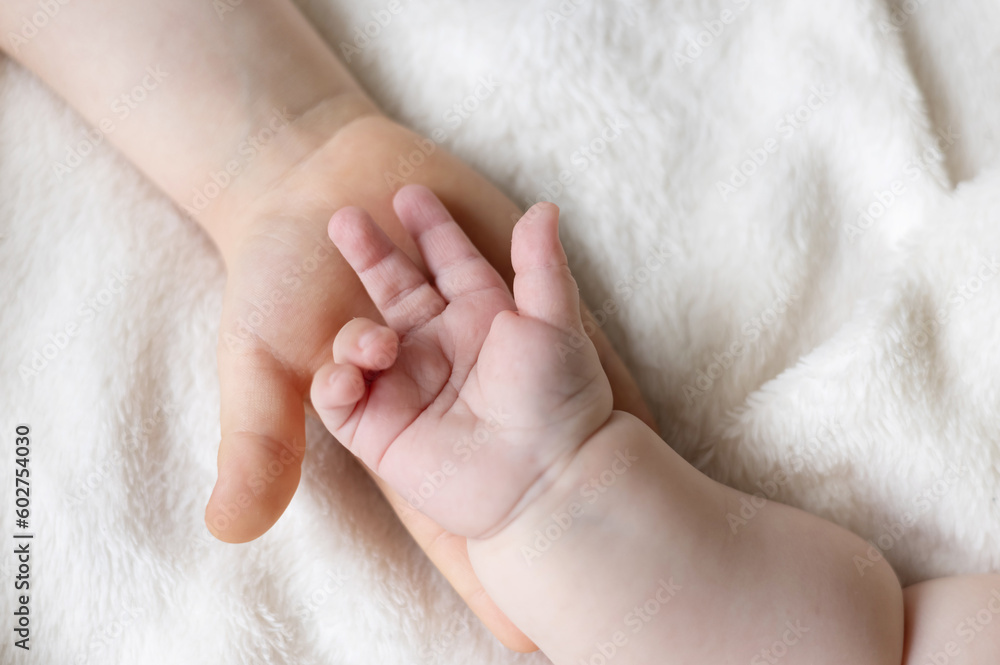 cute small baby hands in kid child palm big brother.infant toddler ...