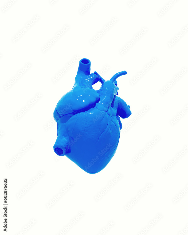 Blue Human Heart Anatomical White Background Shiny Wet Blood Organ ...
