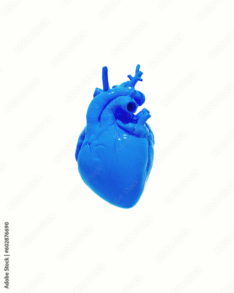 Blue Human Heart Anatomical White Background Shiny Wet Blood Organ ...