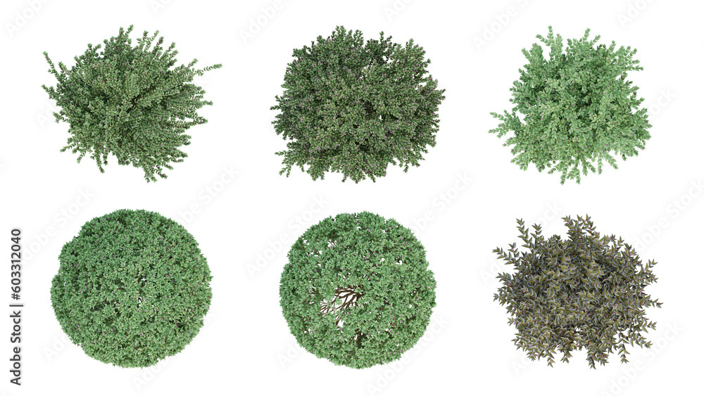 Top view of green shrubs tree on transparent background, 2d plant, 3d ...
