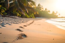 Beach Sand Surrounds Shell Free Stock Photo - Public Domain Pictures