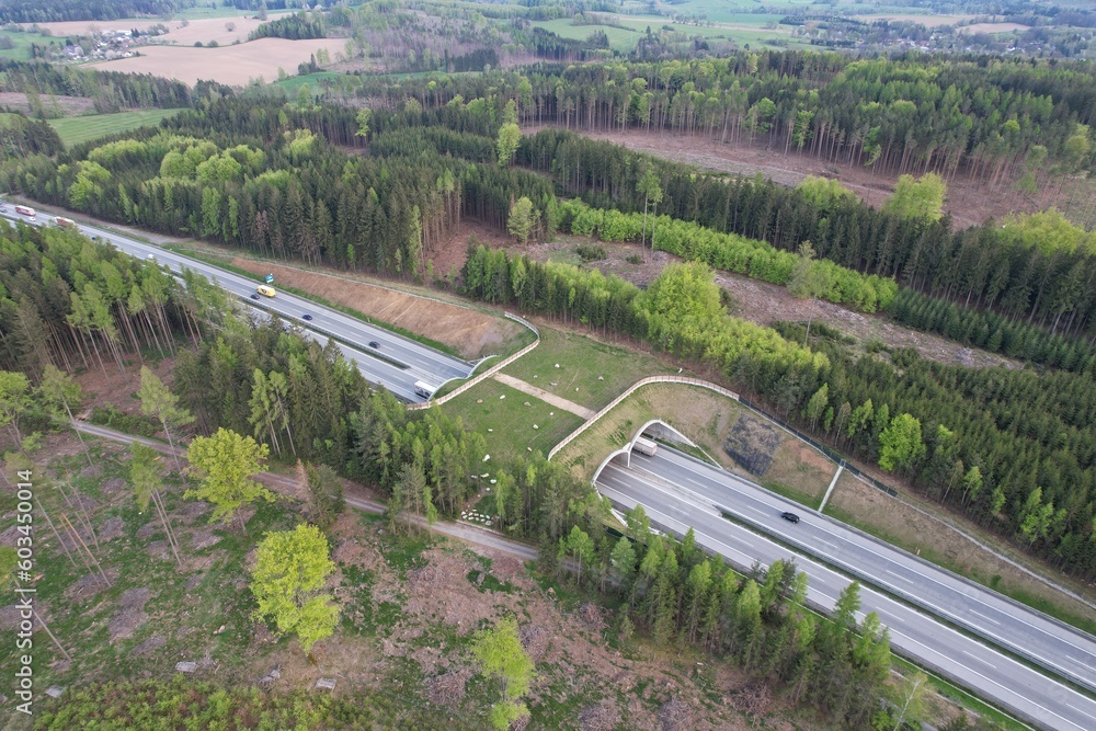 Aerial panorama view of ecoduct or wildlife crossing - vegetation ...