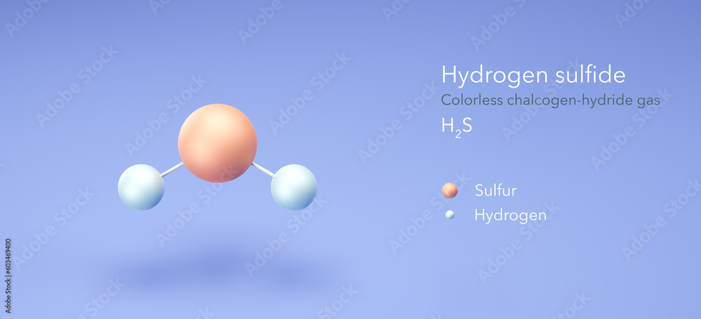 hydrogen sulfide molecule, molecular structures, chalcogen-hydride gas, 3d model, Structural ...