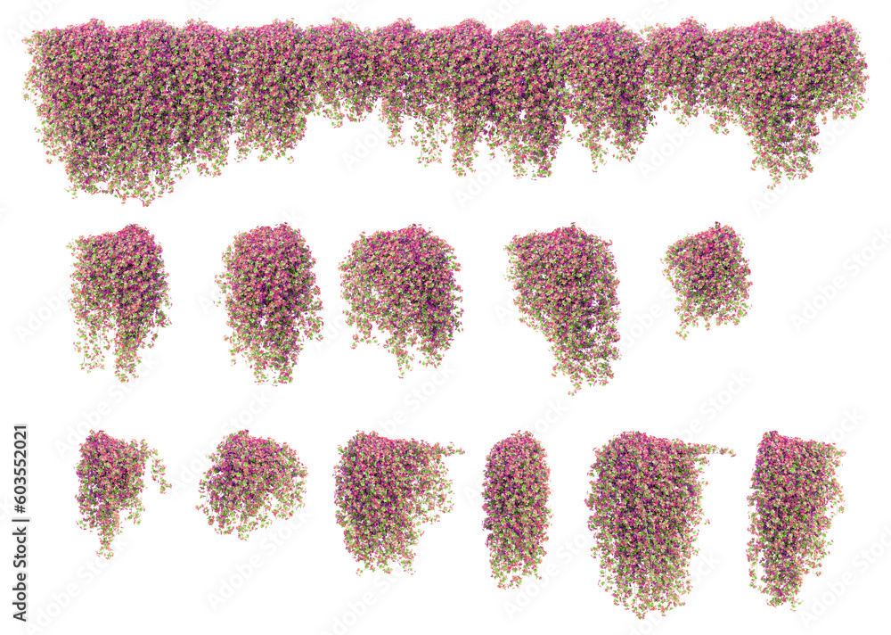 Creeper plant, climber plant 3D rendering with transparent background ...