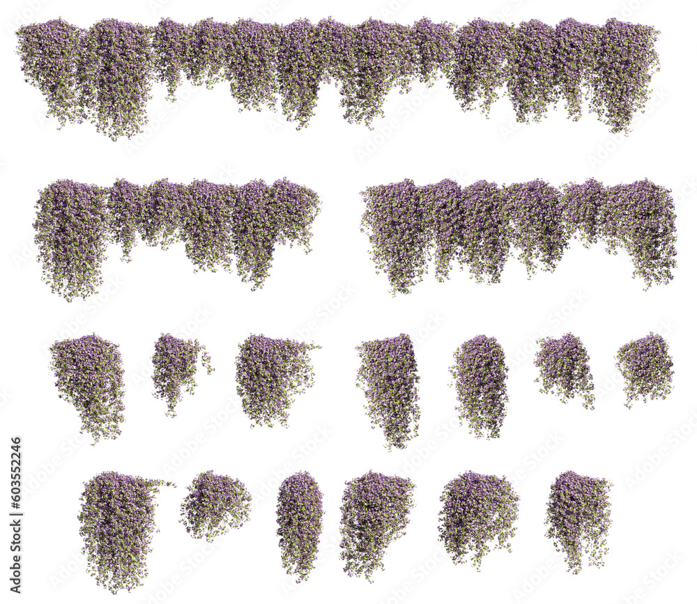 Creeper plant, climber plant 3D rendering with transparent background ...